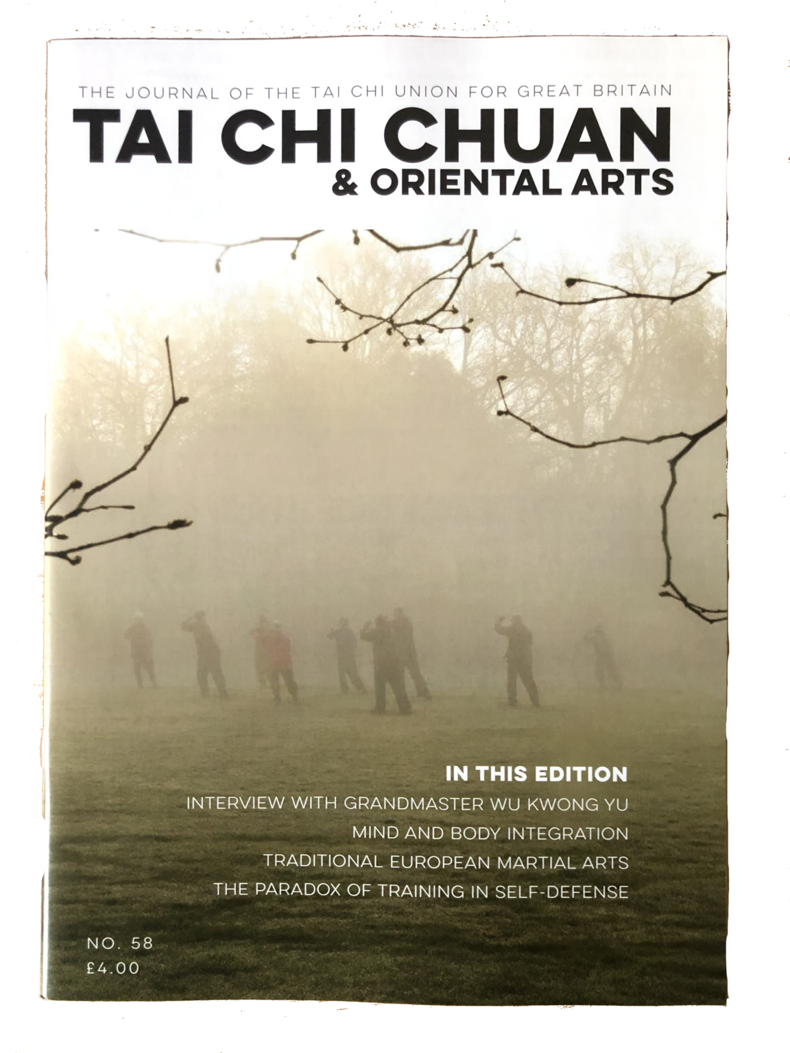 Tai Chi Chuan & Oriental Arts - 58 - Tai Chi Link